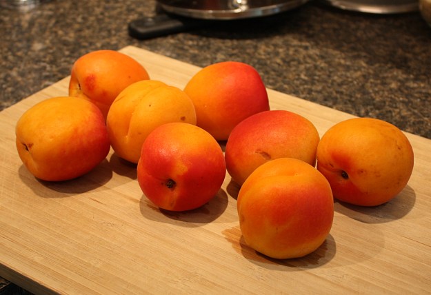 Stewed Apricots | Fanatic Cook