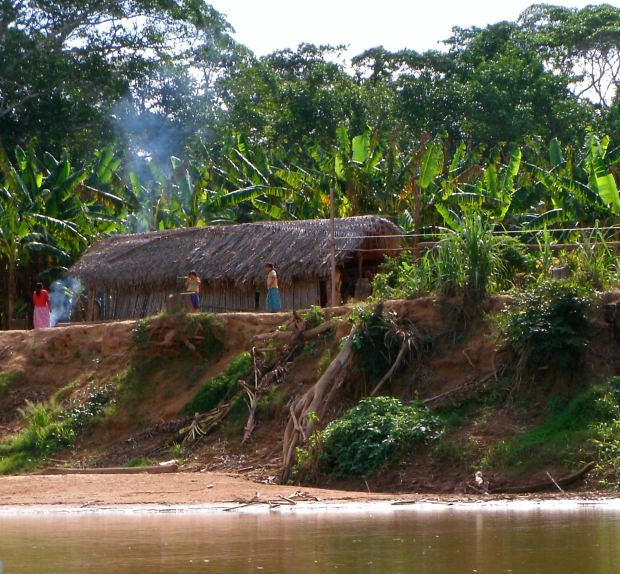 Tsimane Study In The Lancet | Fanatic Cook