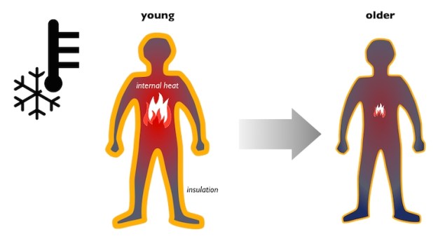 It’s Harder For Older Adults To Maintain Body Temperature When It’s ...