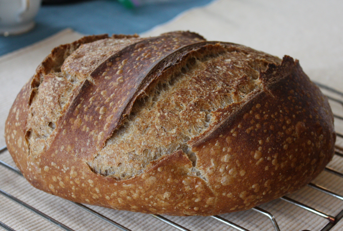 Daily Bread | Fanatic Cook